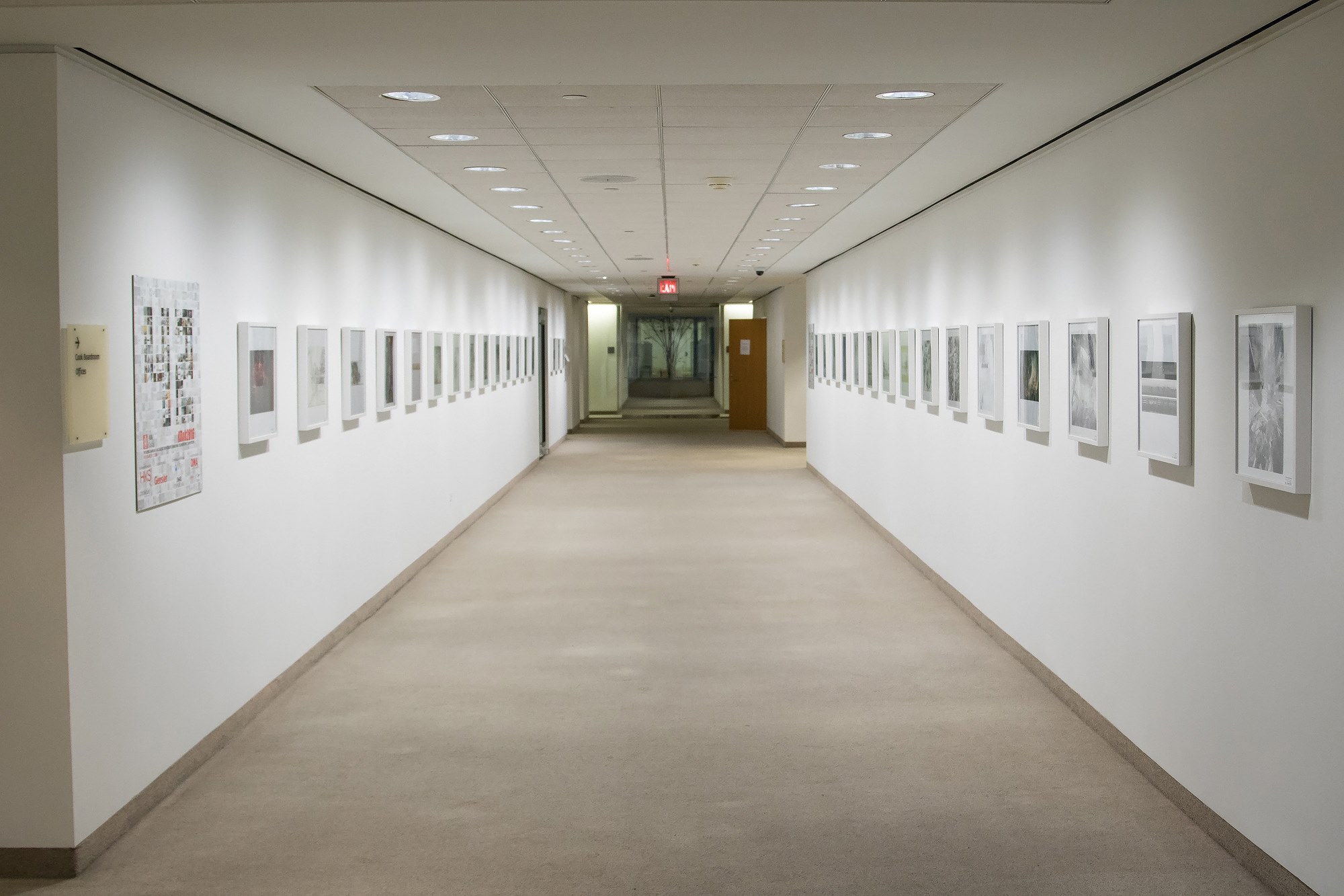 2016 KRob, Dallas Museum of Art - Hamed Khosravi Studio
